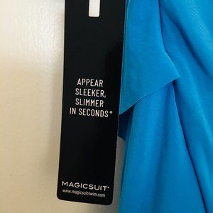 Magicsuit | Swim | Magicsuit Solid Dd Rita Tankini Azure Womens ...